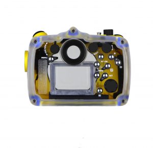 Advanced Backplate Type-AR6 - Liquid Eye